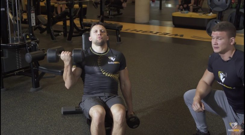 Uginanie przedramion z hantlami z supinacją siedząc (naprzemienne) - BudujMase.pl