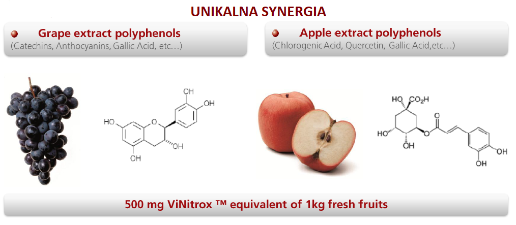 ViNitrox™ - co to jest, działanie, efekty, dawkowanie - BudujMase.pl