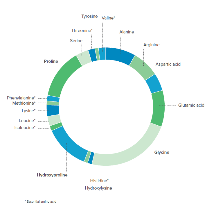 SOLUGEL® i MEG-3™ - co to jest, działanie, właściwości - BudujMase.pl