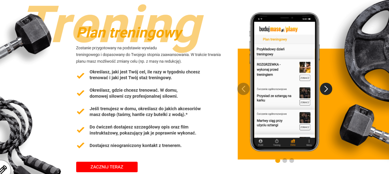Push Pull Legs - przykładowy trening push pull legs - BudujMase.pl